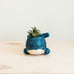 Baby Whale Flower Pot - Coco Coir Pots | LIKHA – LIKHÂ