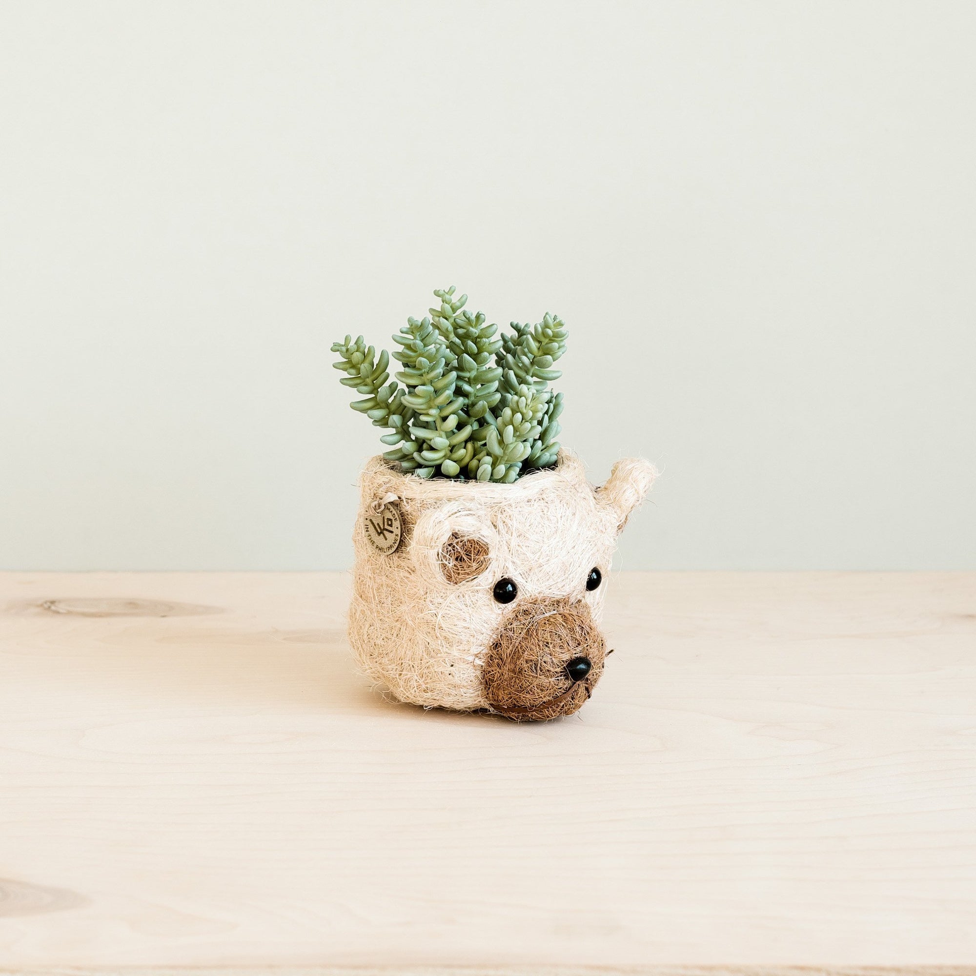 Bear Planter - Animal Head Planters | LIKHA – LIKHÂ