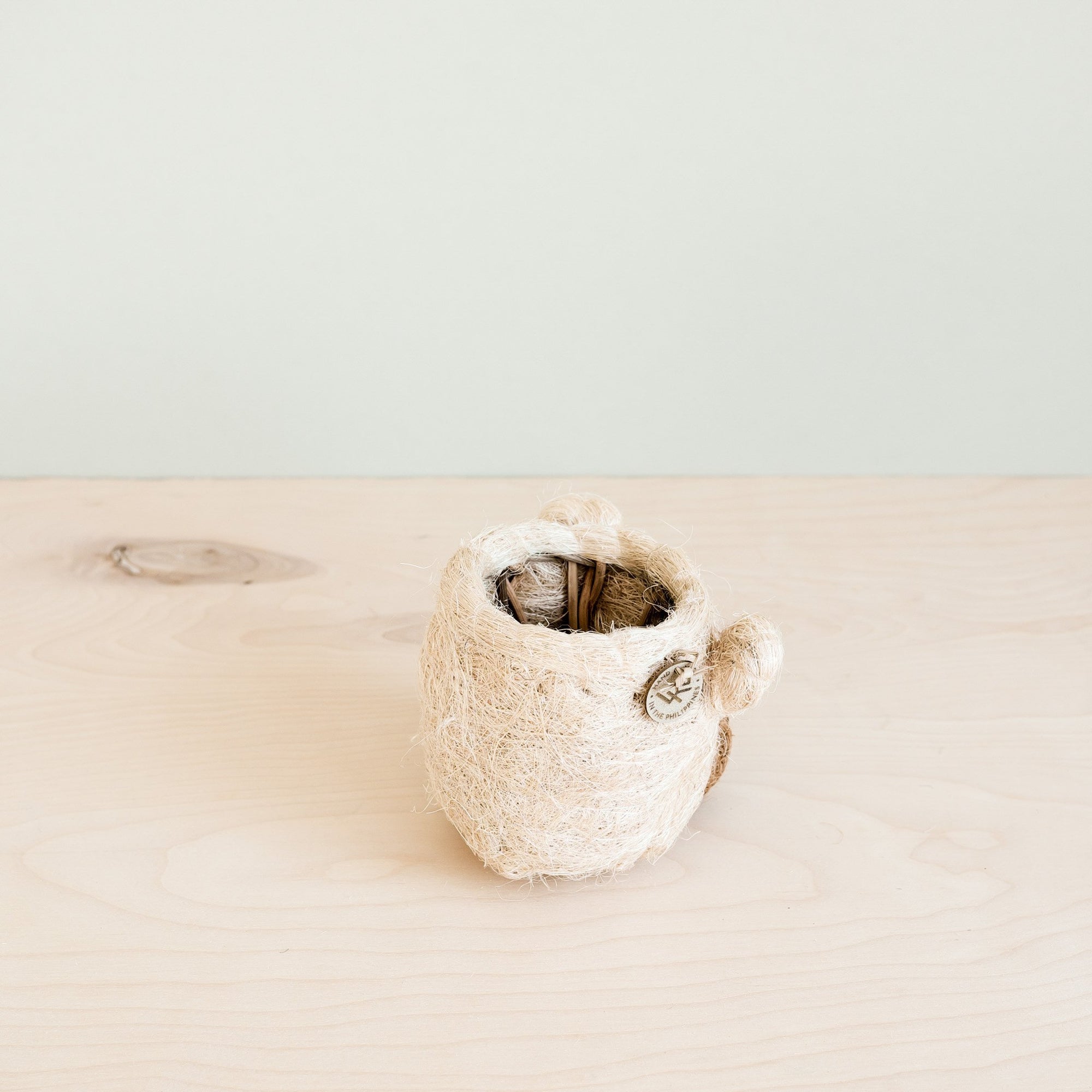 Bear Planter - Animal Head Planters | LIKHA – LIKHÂ