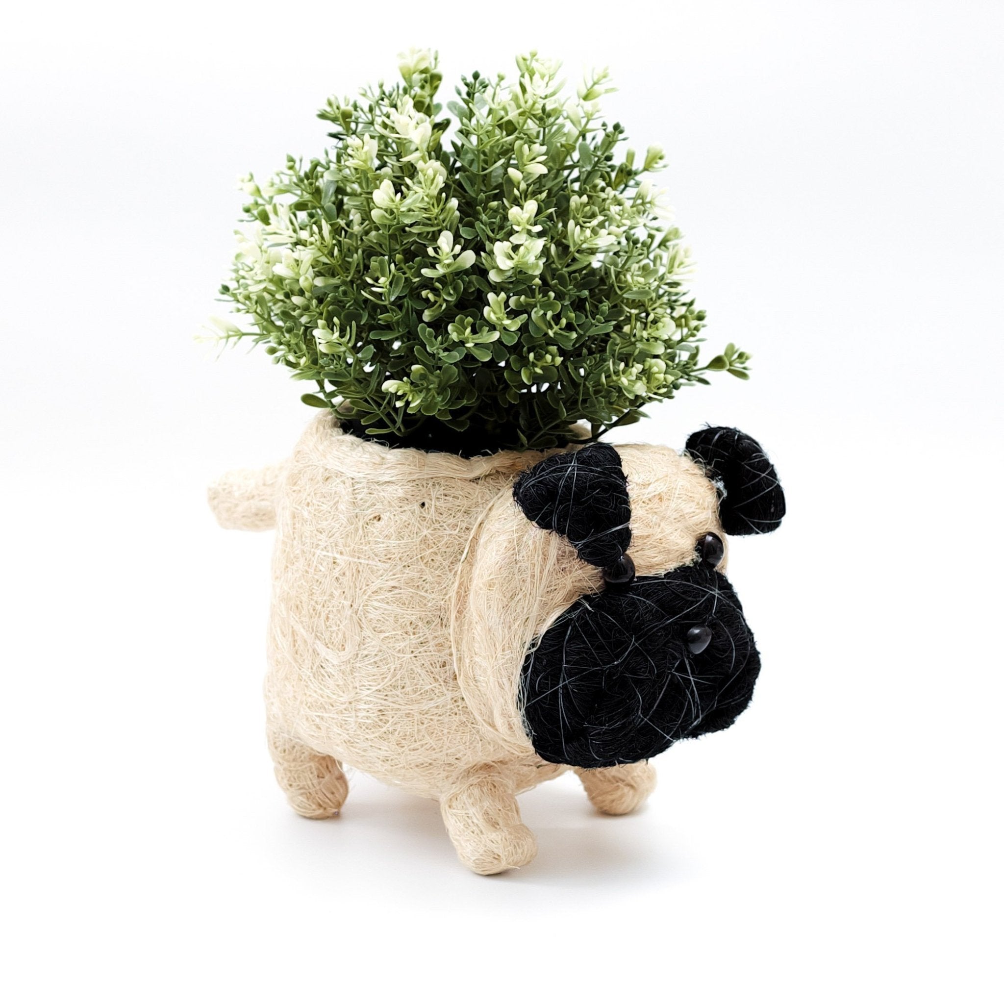 Pug Planter - Coco Coir Pots | LIKHA – LIKHÂ
