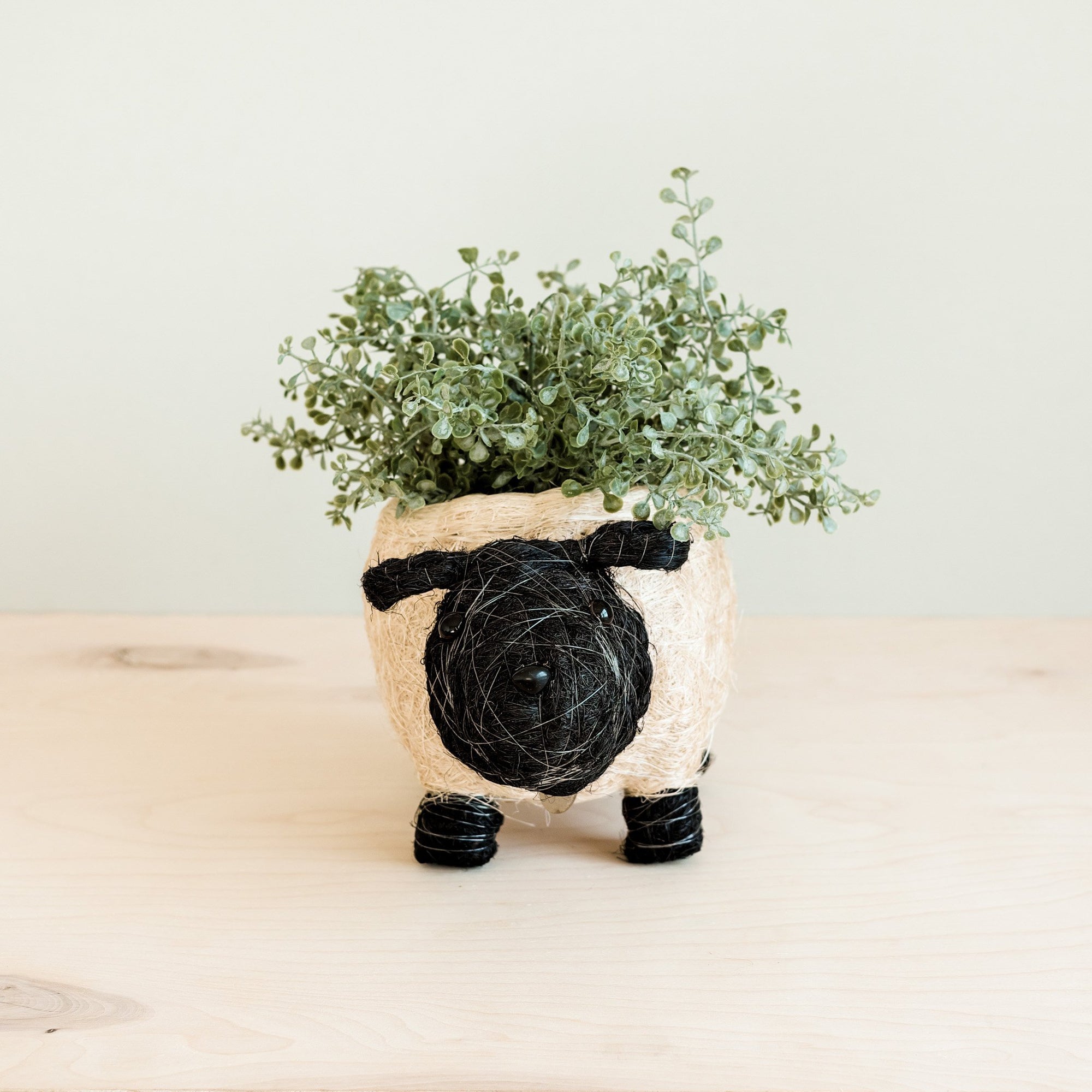 Sheep Planter - Coco Coir Pots | LIKHA – LIKHÂ
